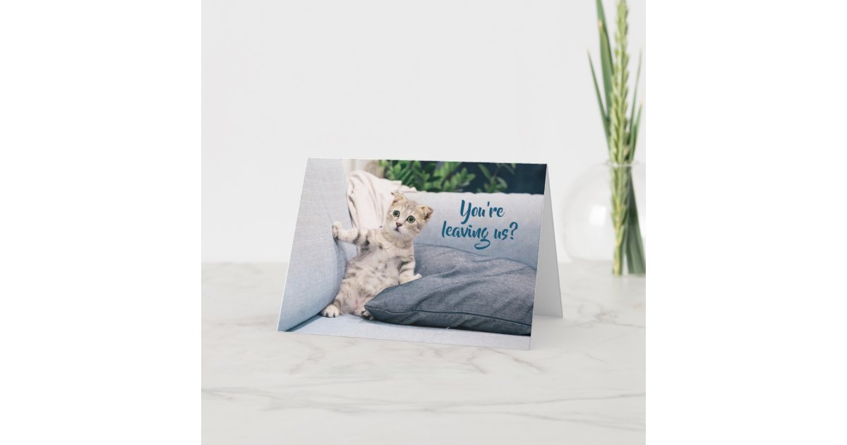 Cute Kitten Cat Farewell Card | Zazzle.com