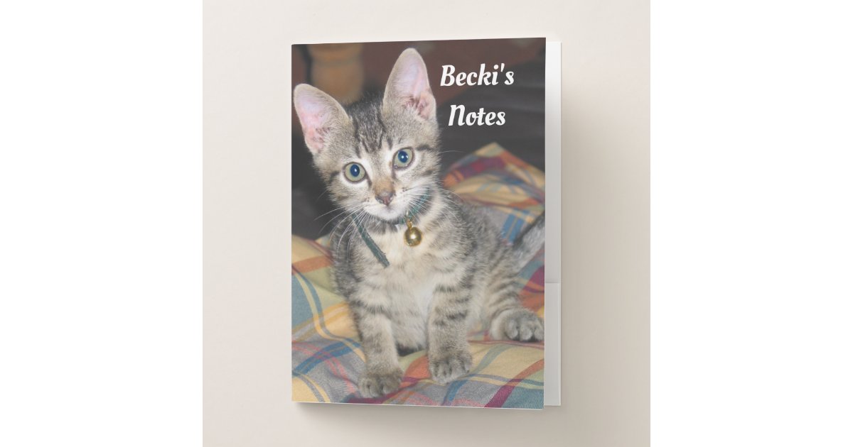 Cute Kitten Pocket Folder | Zazzle
