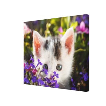 Cute Kitten Spring Flowers Garden Cat Photo Canvas Print | Zazzle