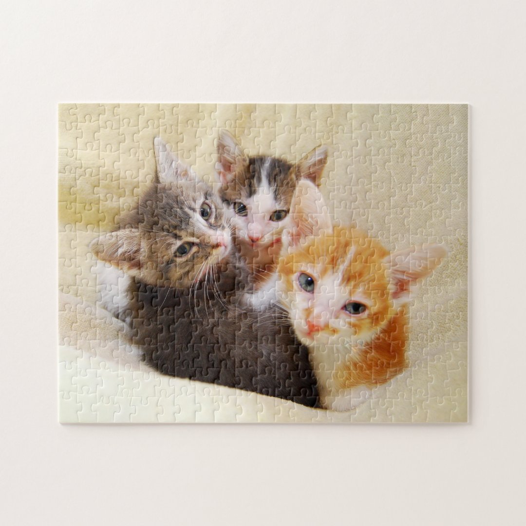 Cute Kitten Trio Jigsaw Puzzle | Zazzle