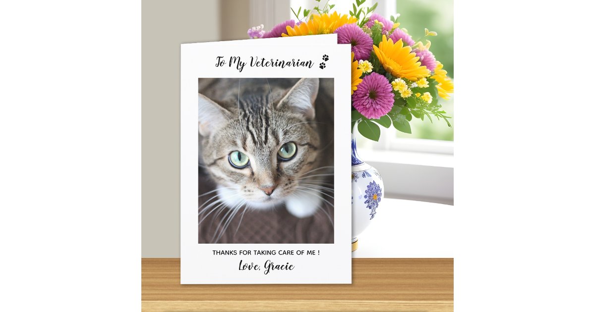 Cute Kitten Veterinarian Pet Care Cat Pet Photo Thank You Card | Zazzle