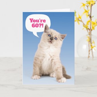 Cute Kitten You're 60?! Birthday Customizable Age Card | Zazzle