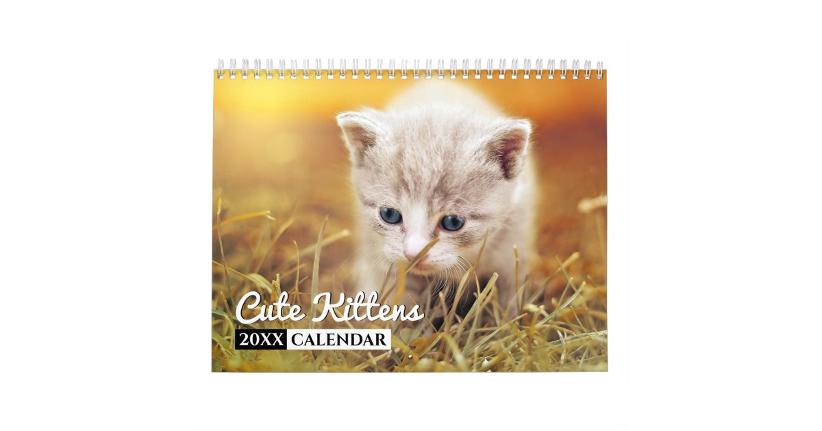 Cute Kittens Photo Wall Calendar | Zazzle