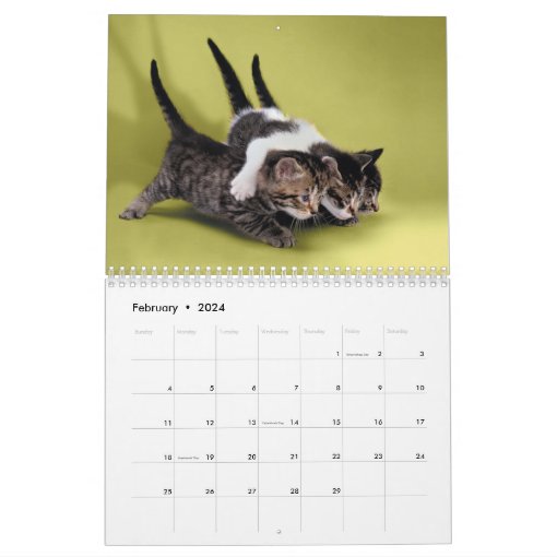 Cute Kittens Photo Wall Calendar | Zazzle