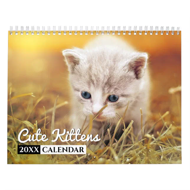 Cute Kittens Photo Wall Calendar | Zazzle