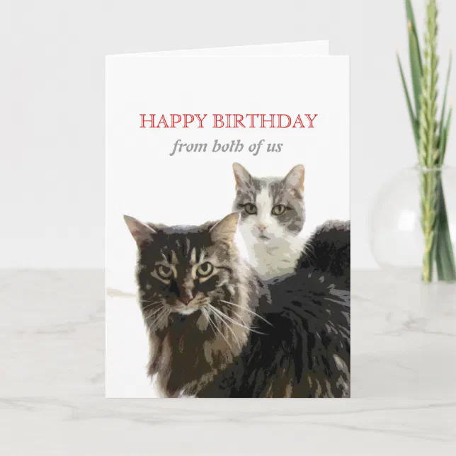 cute kitty cat Birthday Card from both of us | Zazzle