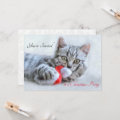 Cute Kitty Cat Biting a Red Santa Hat Christmas Invitation | Zazzle