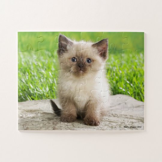 Cute Kitty Puzzle | Zazzle.com