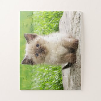 Cute Kitty Puzzle | Zazzle