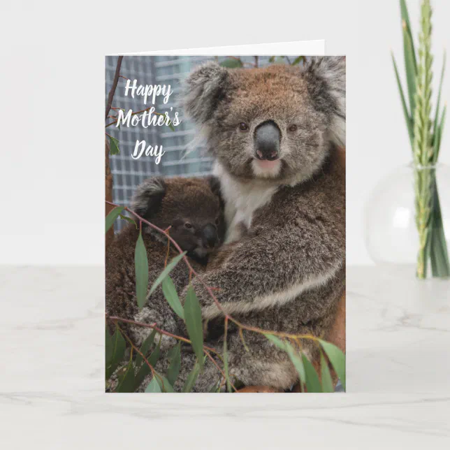 Cute Koala and Baby Mother's Day Photo Card | Zazzle
