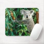Cute Koala Bear Mouse Pad | Zazzle