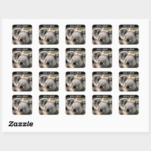 Cute Koala Bear Square Sticker | Zazzle