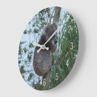 Cute Koala Climbing in a Tree Australia Large Clock | Zazzle