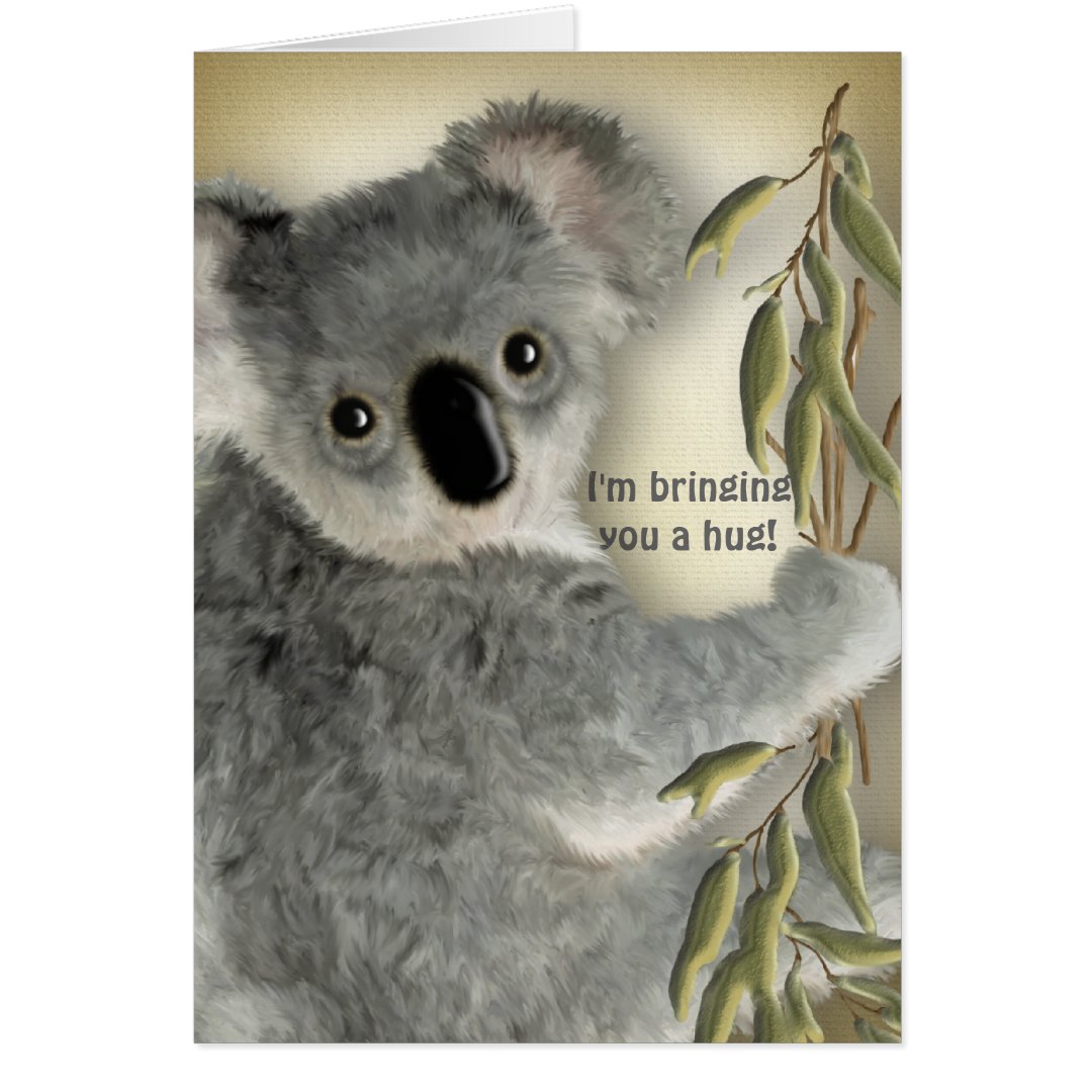 Cute Koala Hug | Zazzle