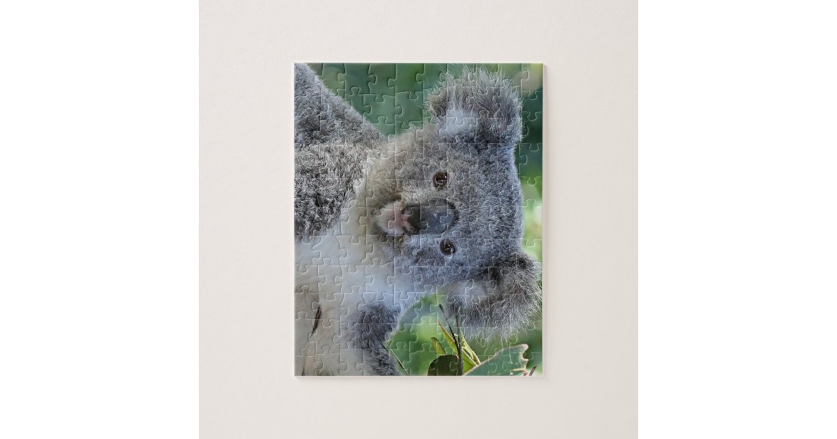 Cute koala jigsaw puzzle | Zazzle