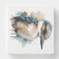 Cute Kookaburra on a Branch Wooden Box Sign | Zazzle