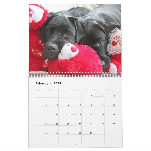 Cute Labradors - Black Labrador Retriever Dog Calendar | Zazzle