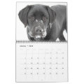 Cute Labradors - Black Labrador Retriever Dog Calendar | Zazzle