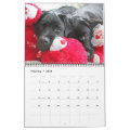Cute Labradors - Black Labrador Retriever Dog Calendar | Zazzle