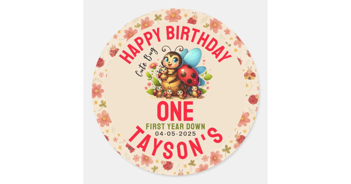 Cute Ladybug 1st Birthday | Bug Theme Party Classic Round Sticker | Zazzle