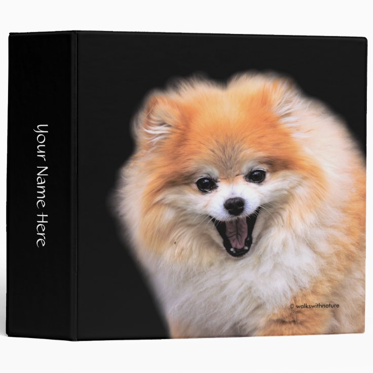 Cute Laughing Pomeranian Dog 3 Ring Binder | Zazzle