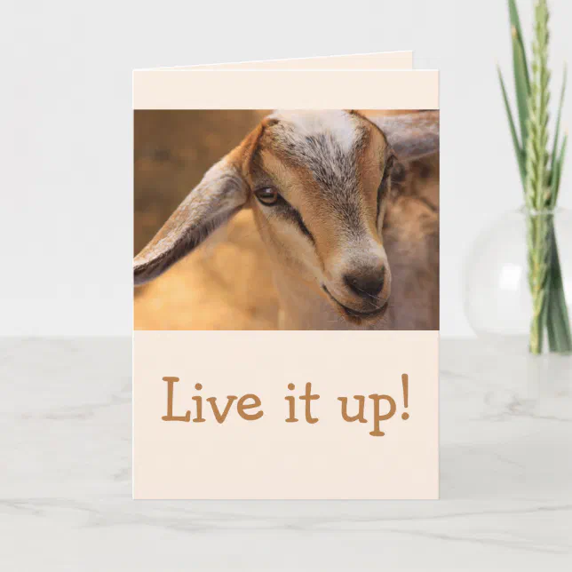 Cute Little Baby Goat Birthday Card | Zazzle