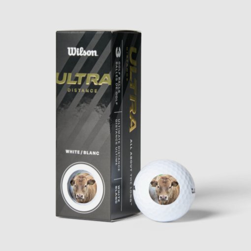 CUTE LITTLE COW GOLF BALLS | Zazzle