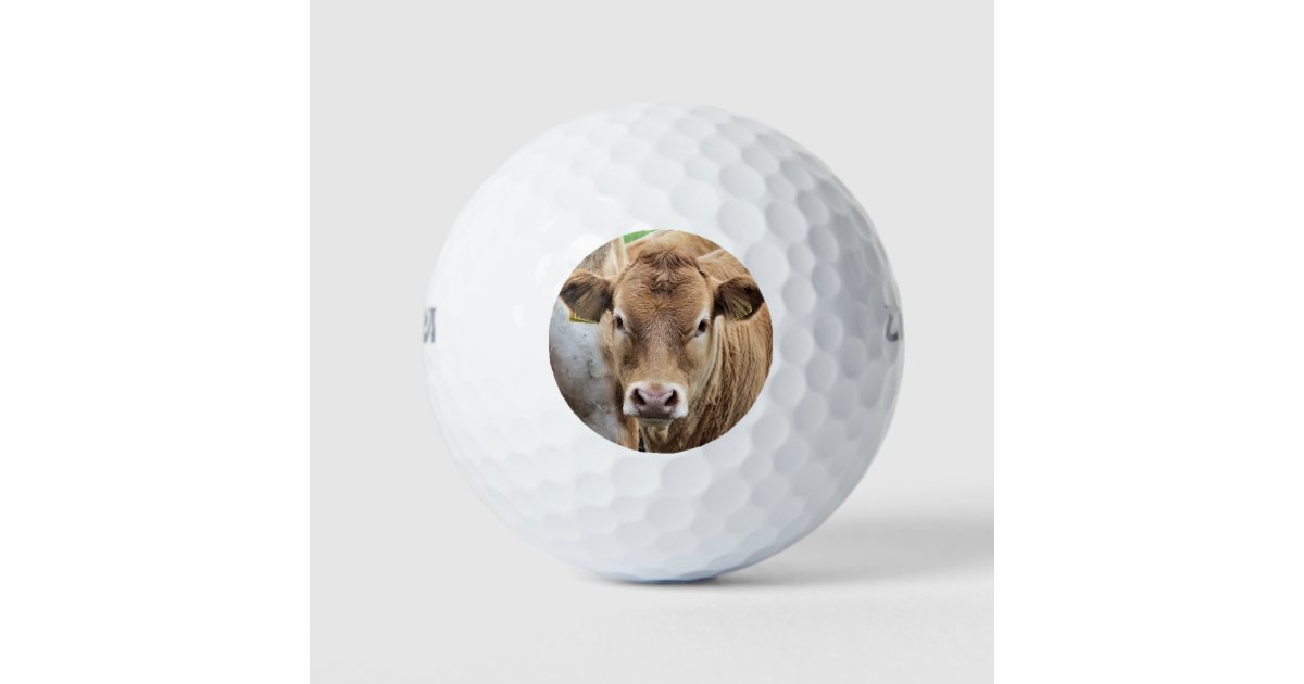 CUTE LITTLE COW GOLF BALLS | Zazzle