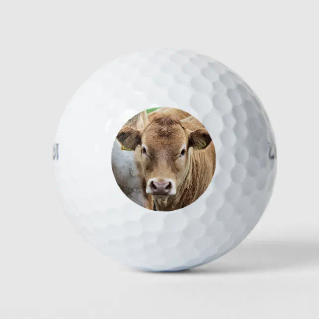 CUTE LITTLE COW GOLF BALLS | Zazzle