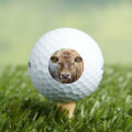 CUTE LITTLE COW GOLF BALLS | Zazzle