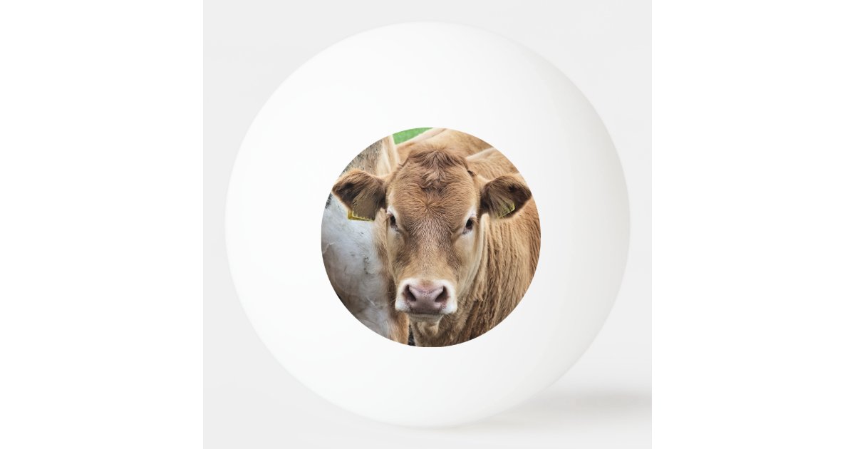 CUTE LITTLE COW PING PONG BALL | Zazzle