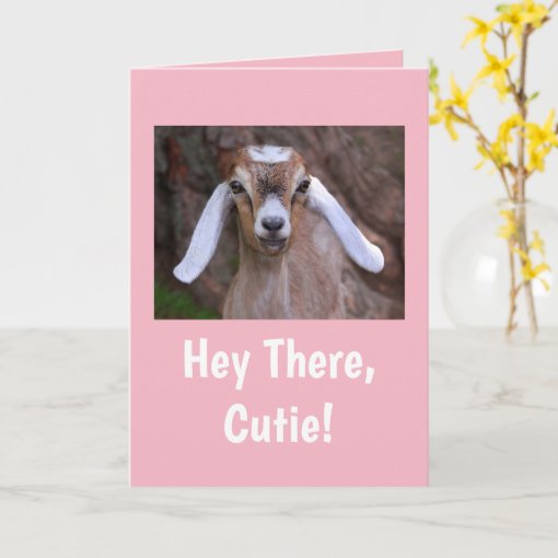 Cute Little Goat Birthday Card | Zazzle