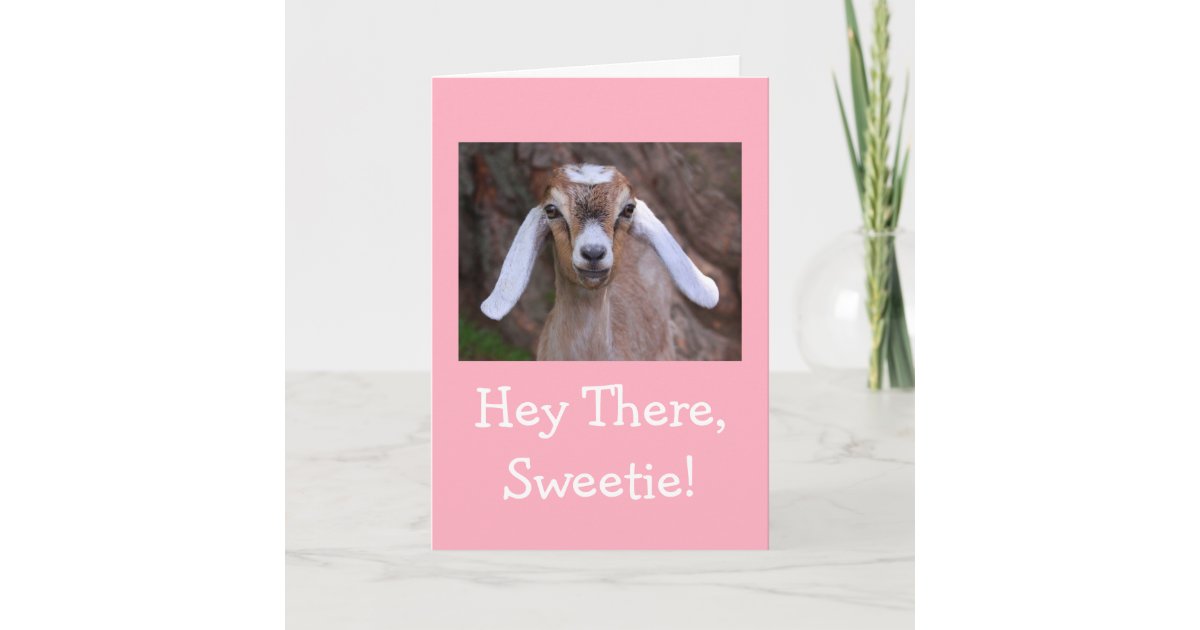 Cute Little Goat Get Well Card | Zazzle.com