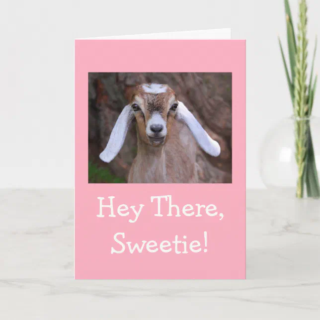 Cute Little Goat Get Well Card | Zazzle