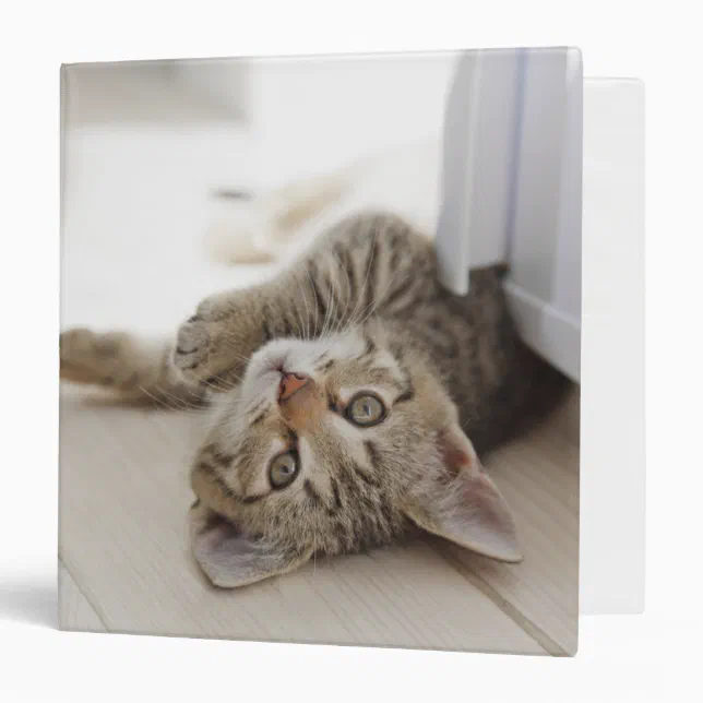 Cute Little Kitten 3 Ring Binder | Zazzle