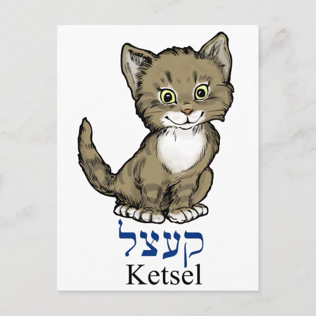 cute little kitten-"ketsel" in Yiddish Postcard | Zazzle
