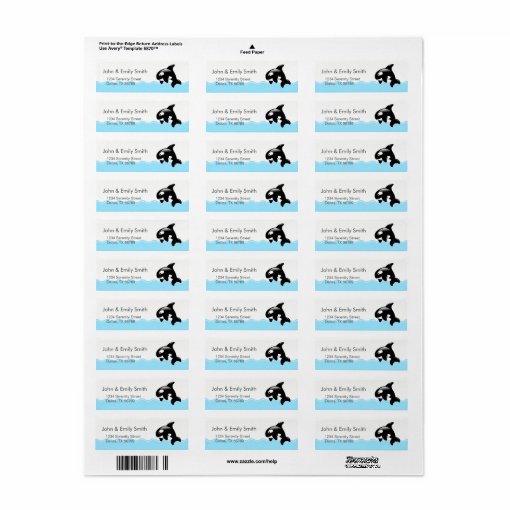 Cute Little Orca Whale Address Label | Zazzle