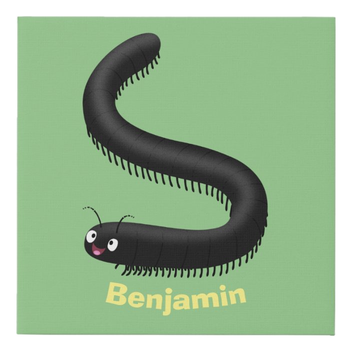 Cute millipede cartoon illustration faux canvas print | Zazzle.com