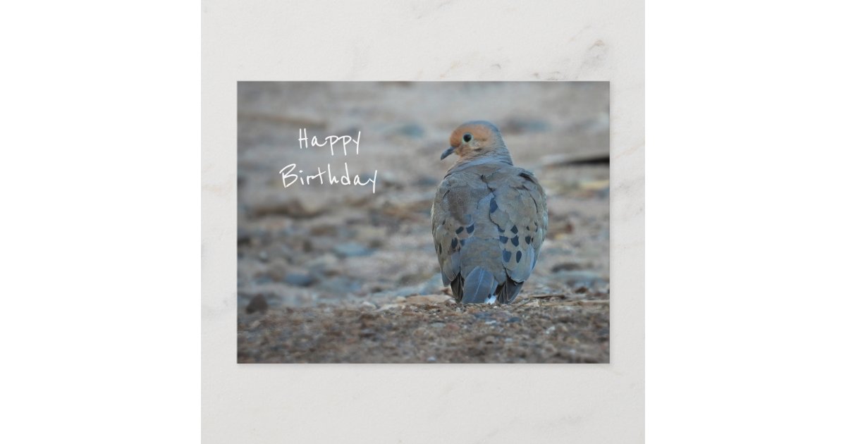 Cute Mourning Dove Birthday Postcard | Zazzle