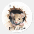 Cute Mouse gift No Peeking Classic Round Sticker | Zazzle