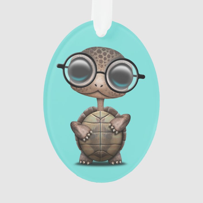 Cute Nerdy Turtle Wearing Glasses Ornament | Zazzle.com