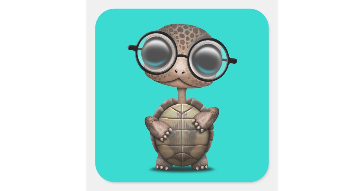 Cute Nerdy Turtle Wearing Glasses Square Sticker | Zazzle