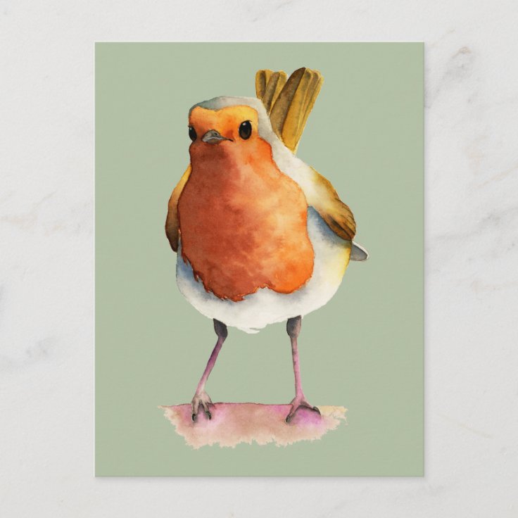 Cute Orange Robin Bird Watercolor Art Postcard | Zazzle