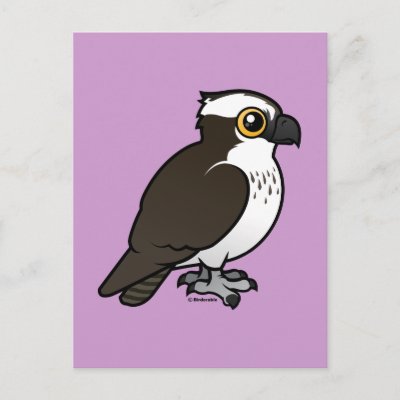 Cute Osprey by Birdorable