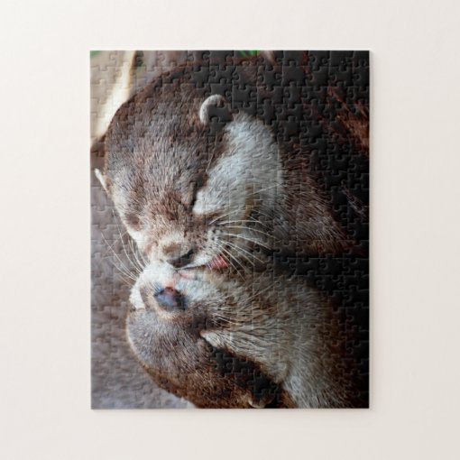 Cute Otter Couple, Jigsaw Puzzle | Zazzle