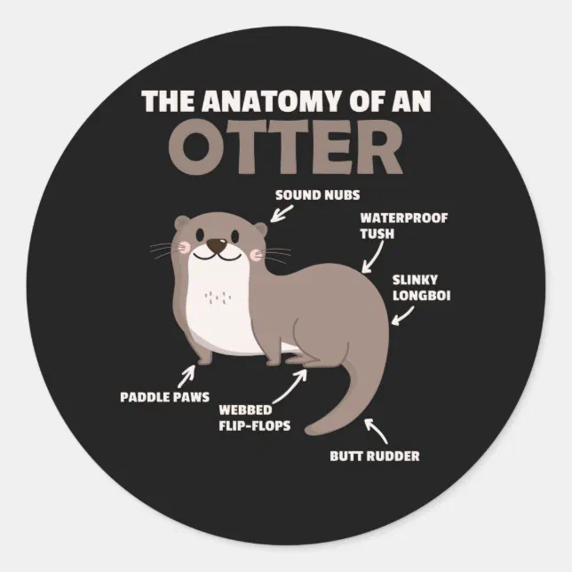 Cute Otter Explanation Anatomy Of An Otter Classic Round Sticker | Zazzle