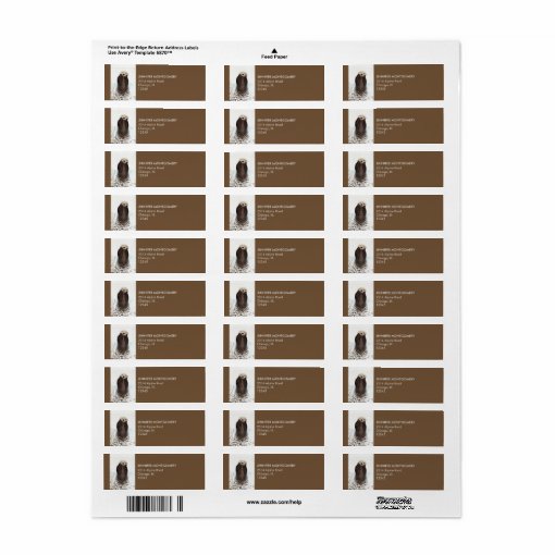 Cute Otter Wildlife Image Label | Zazzle