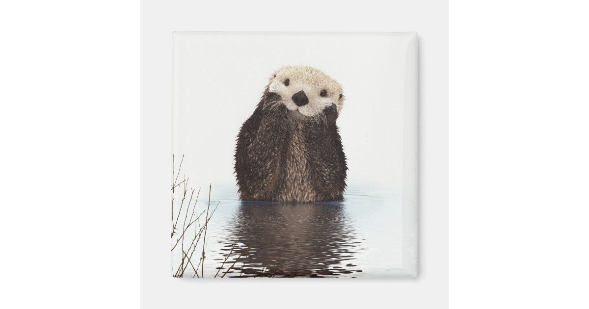 Cute Otter Wildlife Image Magnet | Zazzle