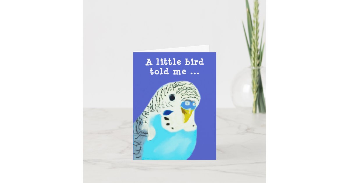 Cute parakeet birthday card | Zazzle
