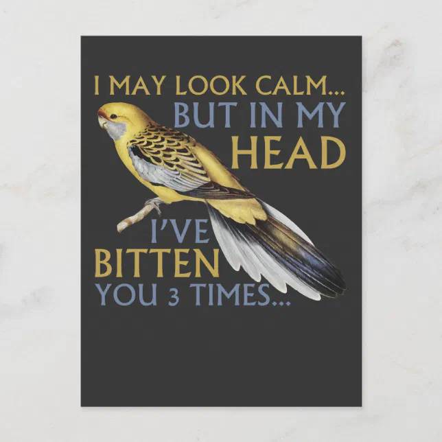 Cute Parakeet I May Look Calm bitten you 3 times Postcard | Zazzle